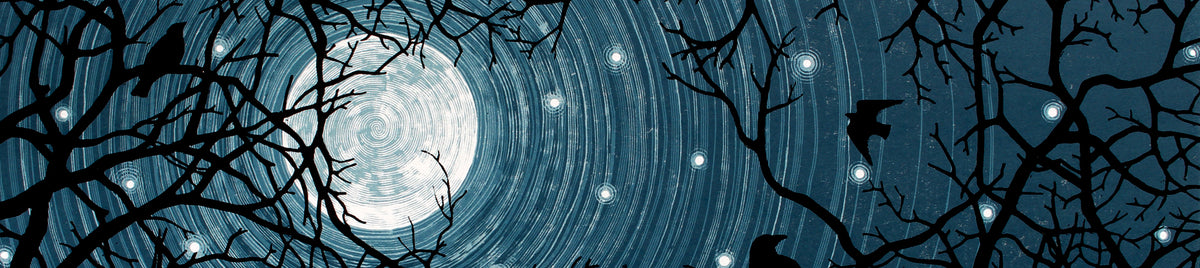 Shop All – Molly Lemon Art