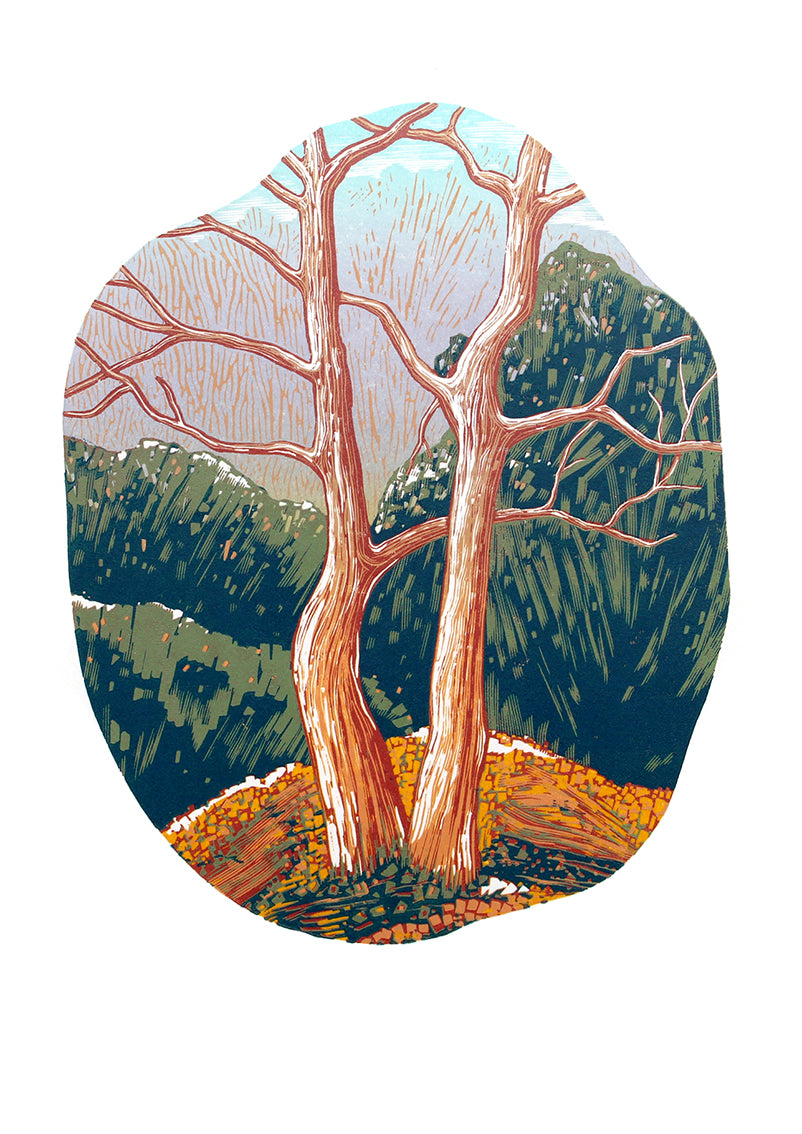 Trees Card Pack – Molly Lemon Art