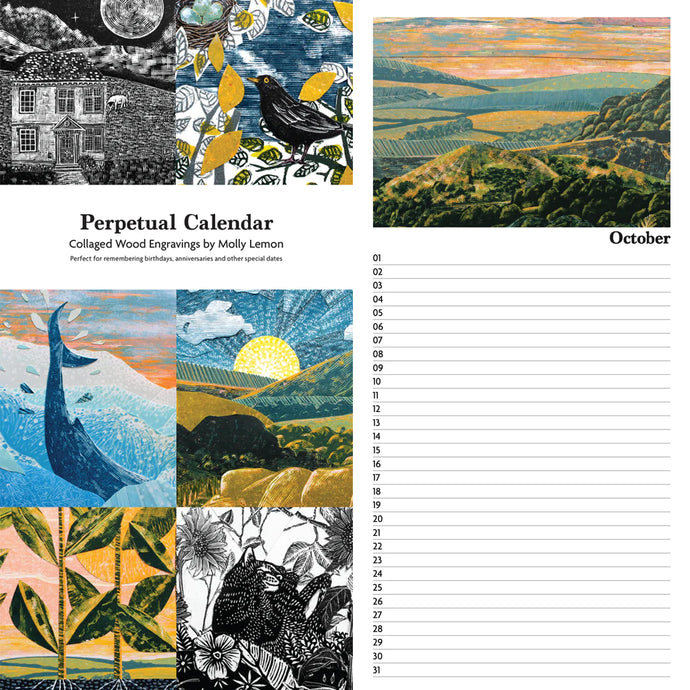 Shop All – Molly Lemon Art