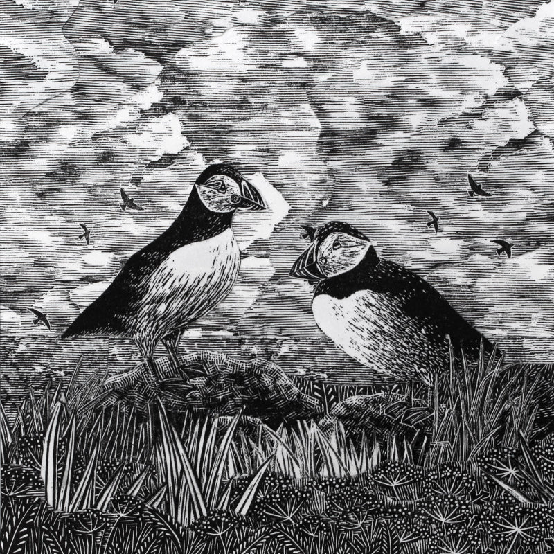 Puffins Card – Molly Lemon Art