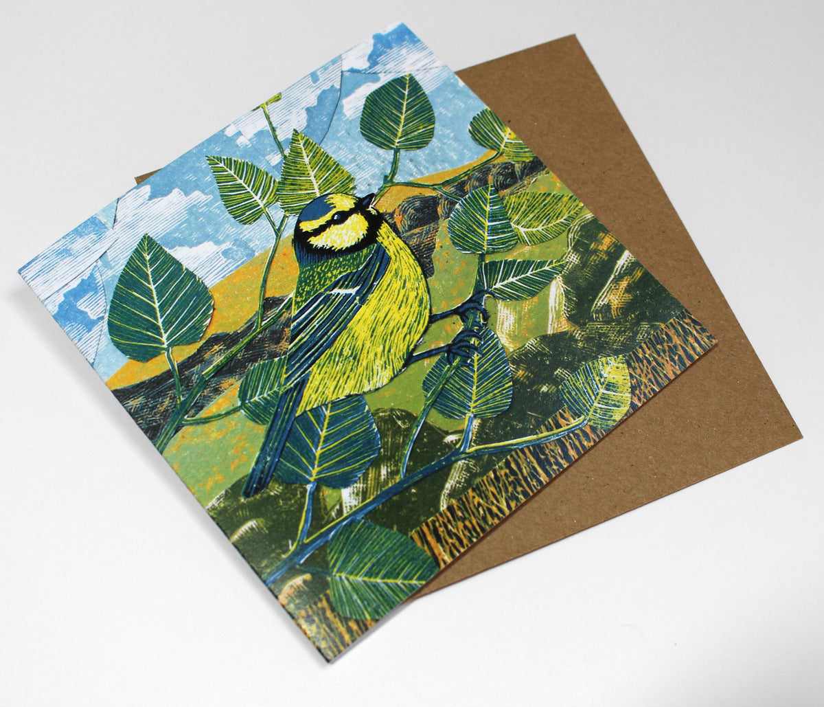 Bird Card Pack – Molly Lemon Art